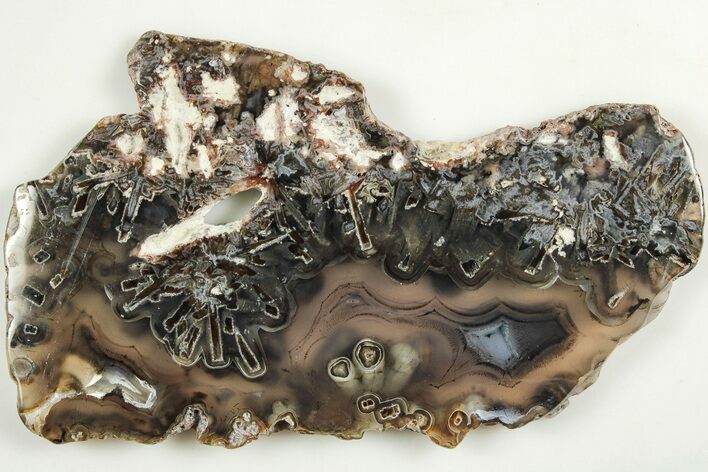 5" Polished Turkish Stick Agate Slab - Turkey (#207919) For Sale ...