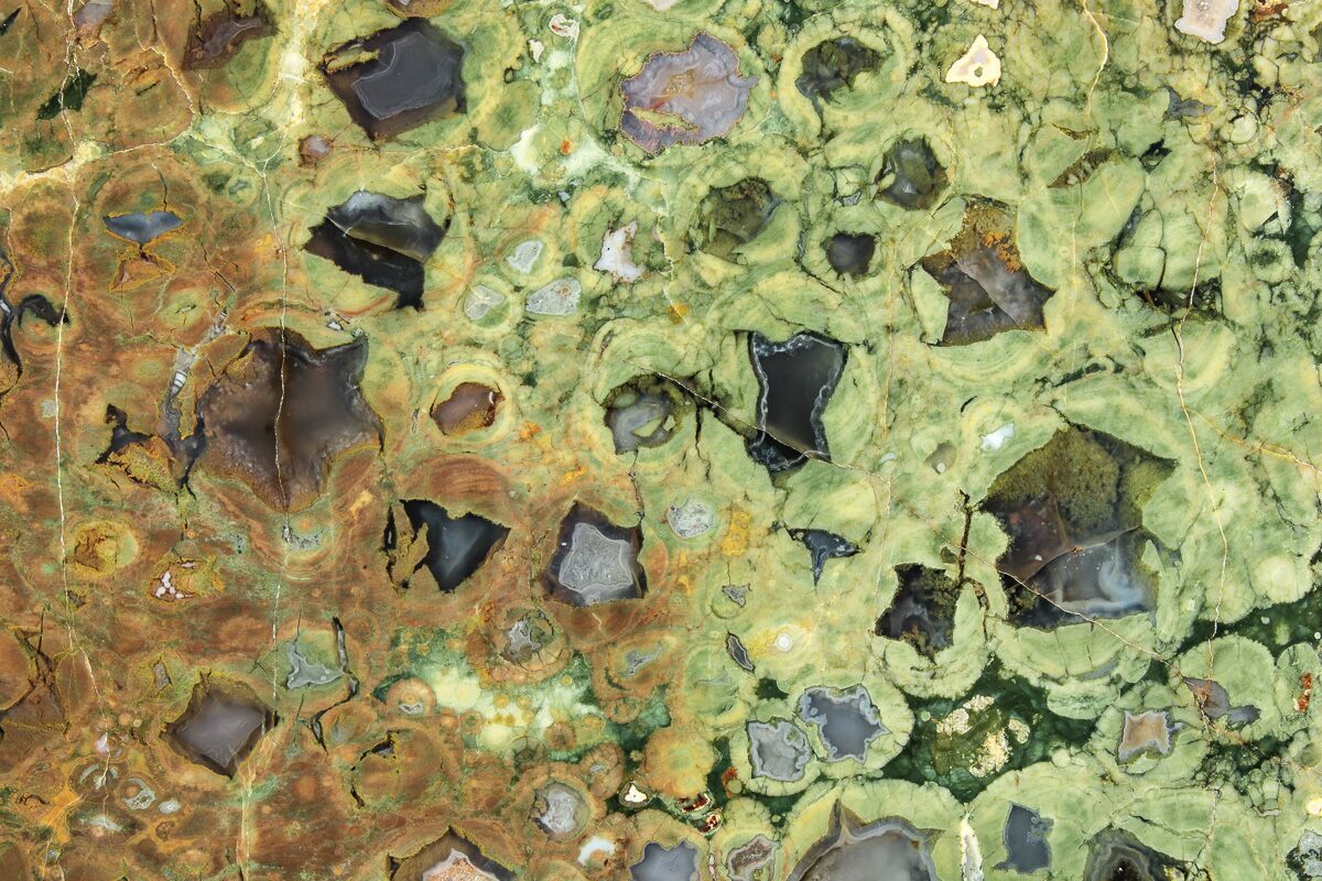 9.35" Polished Rainforest Jasper (Rhyolite) Slab - Australia (#208188 ...