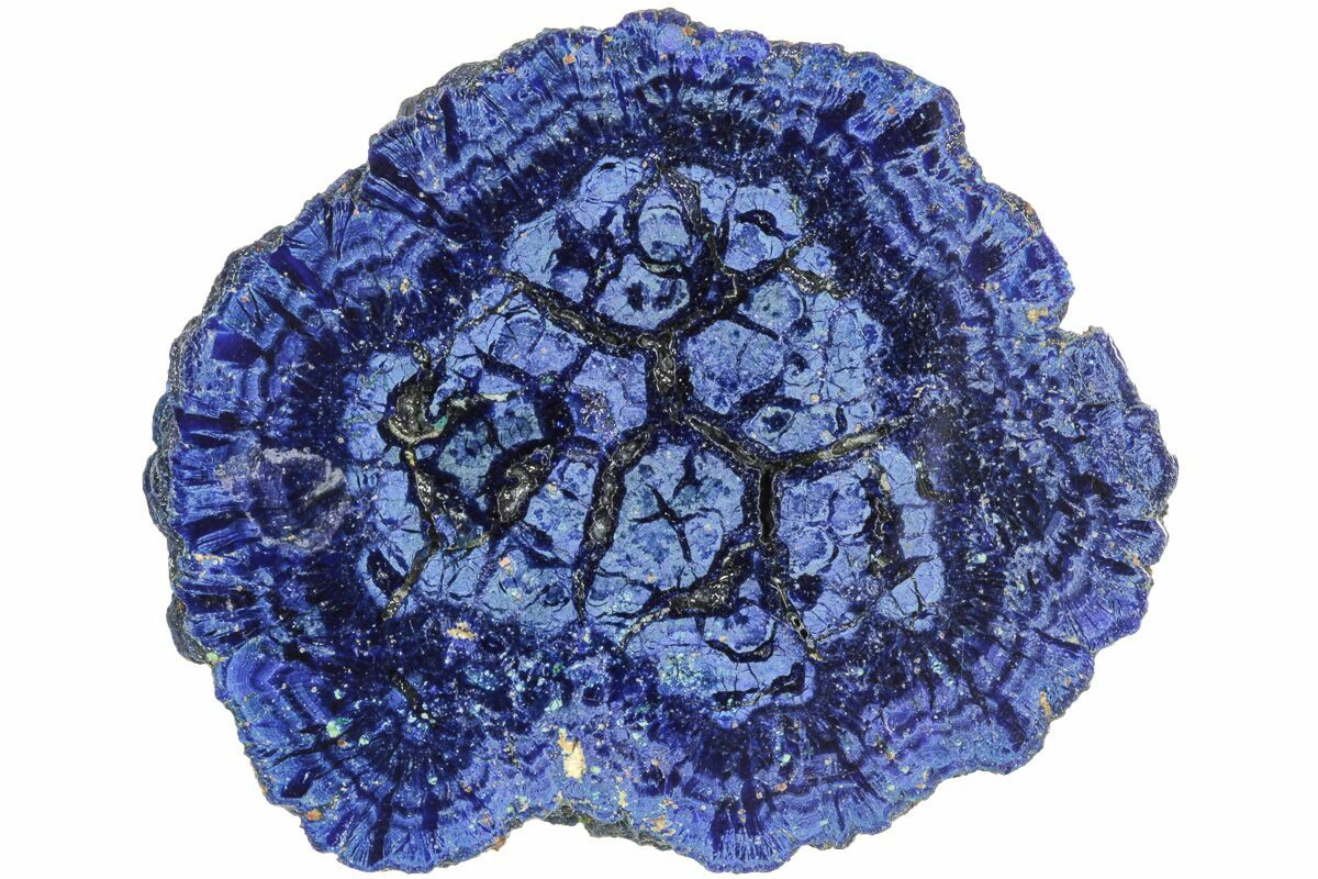 1.7" Vivid Blue, Cut/Polished Azurite Nodule Slice - Siberia (#209484 ...