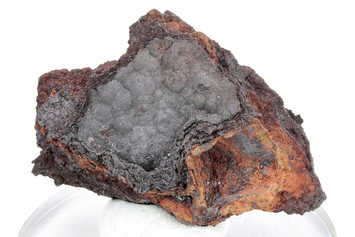 1.8" Needle-Like Pyrolusite Crystals on Matrix - Mexico (#211845) For ...