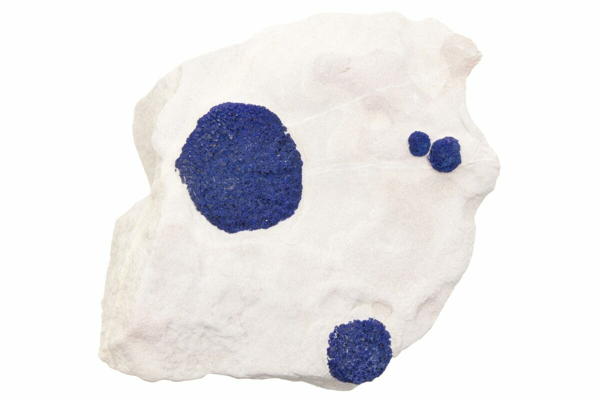Vibrant Blue Azurite Suns on Siltstone - Australia (#217991) For Sale ...
