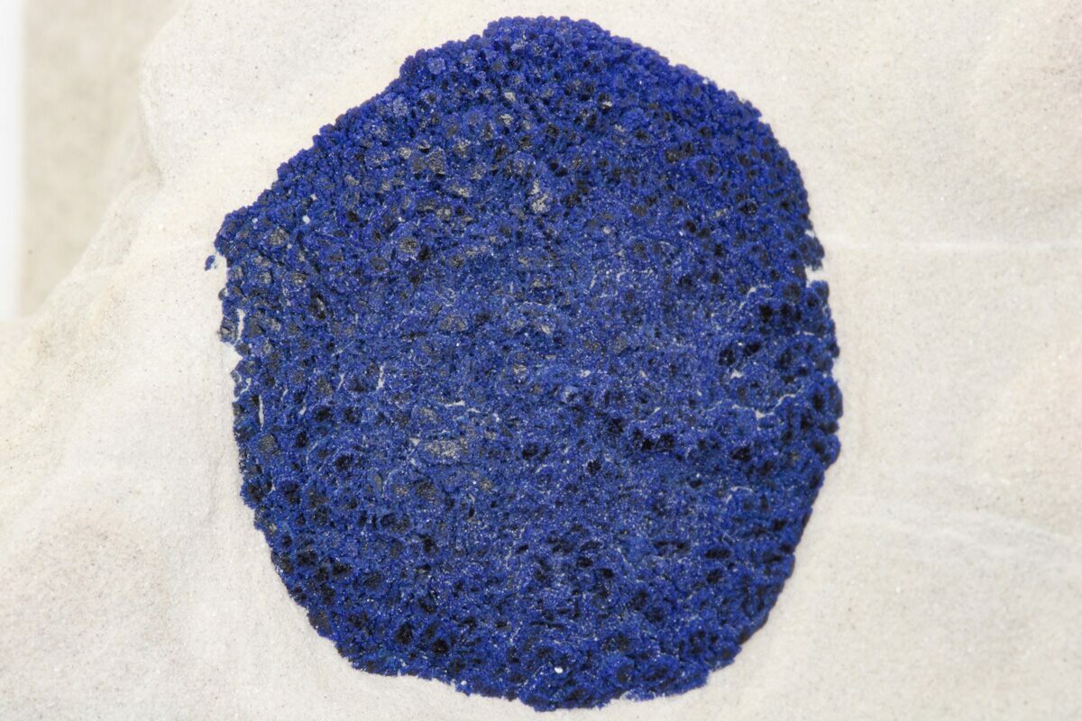 Vibrant Blue Azurite Suns on Siltstone - Australia (#217991) For Sale ...