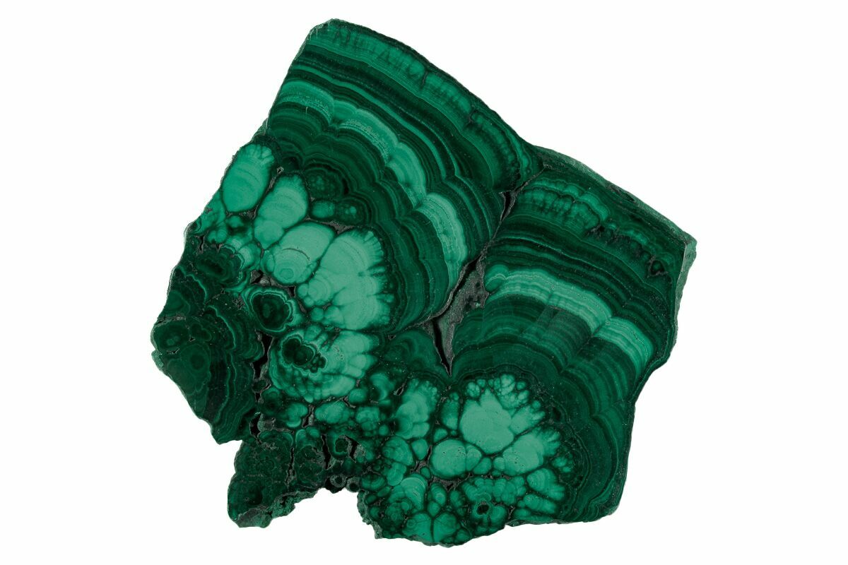 4.6" Polished Malachite Slab - Congo (#220530) For Sale - FossilEra.com