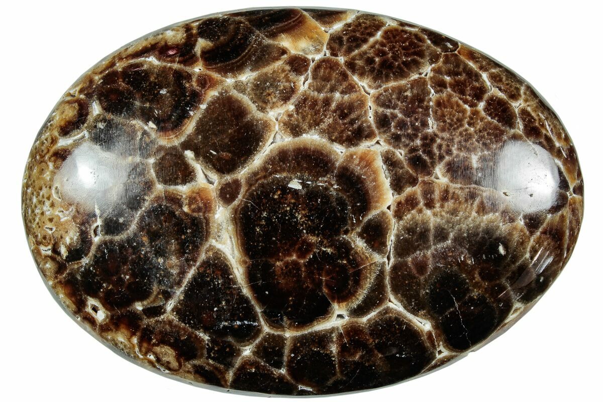 3" Polished Chocolate Calcite Palm Stone - Pakistan (#220928) For Sale ...