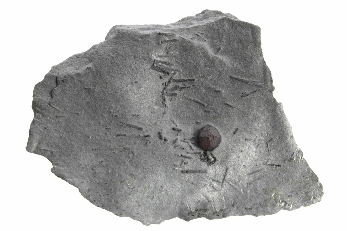 .3" Red Embers Garnet in Graphite - Massachusetts (#225902) For Sale ...