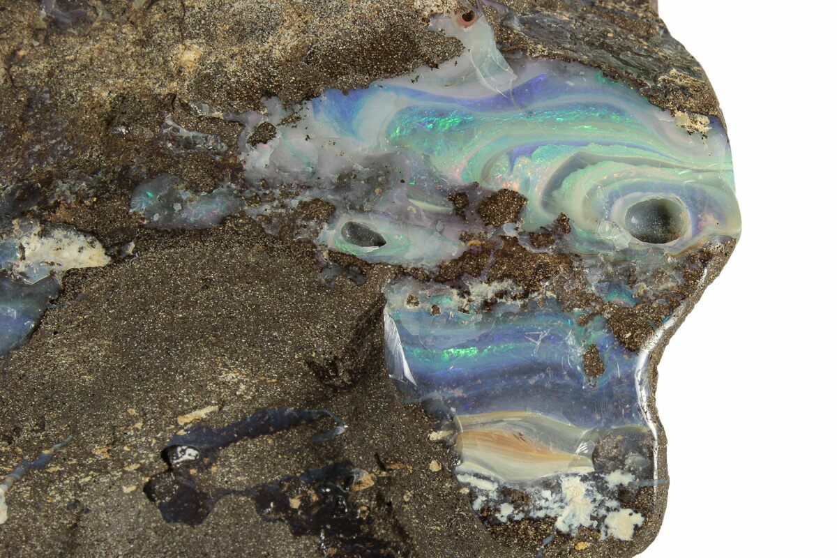 4.2" Flashy Boulder Opal Specimen - Queensland, Australia (#227093) For ...