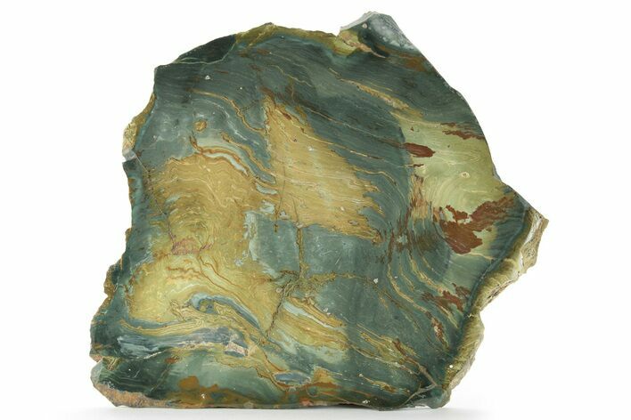 9.2" Gary Green Jasper (Larsonite) Bog Wood Slab - Oregon (#227986) For ...