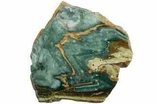 7" Gary Green Jasper (Larsonite) Bog Wood Slab - Oregon (#227940) For ...