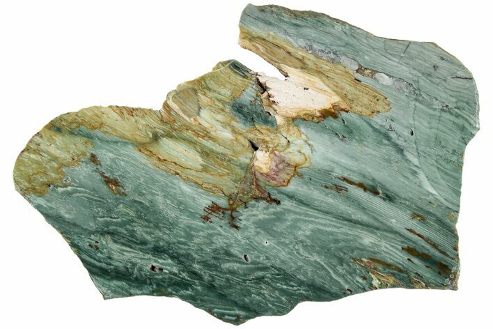 5.8" Gary Green Jasper (Larsonite) Bog Wood Slab - Oregon (#228008) For ...