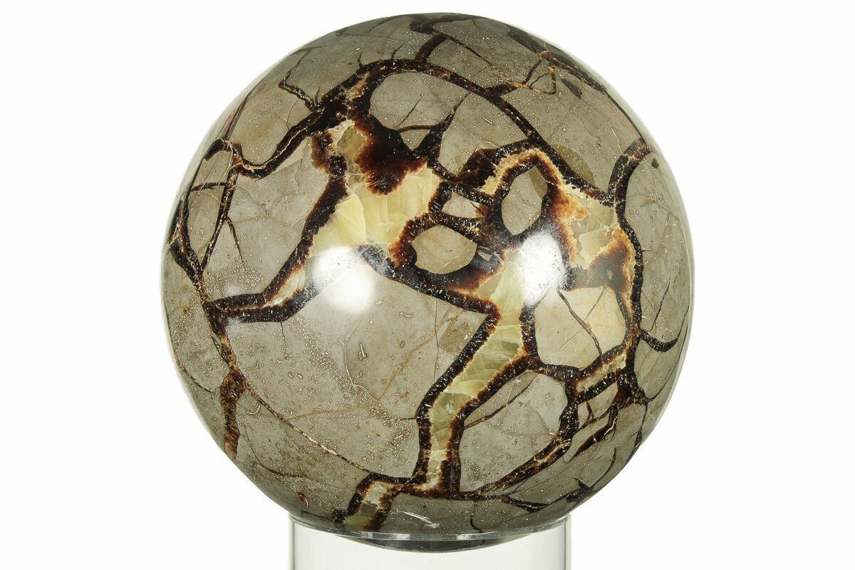 5.7" Polished Septarian Sphere - Madagascar (#227468) For Sale ...