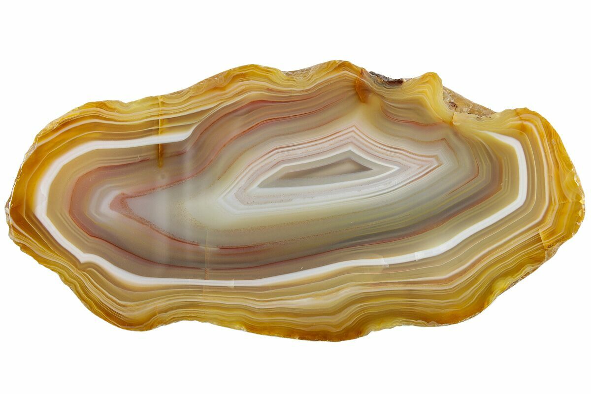3.6" Polished Banded "Island Agate" Section - South Pacific (#229044 ...