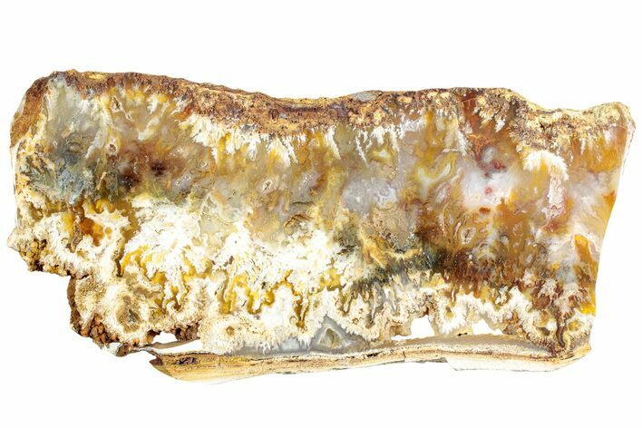 6.6" Graveyard Point Plume Agate Slab - Eastern Oregon (#229062) For ...