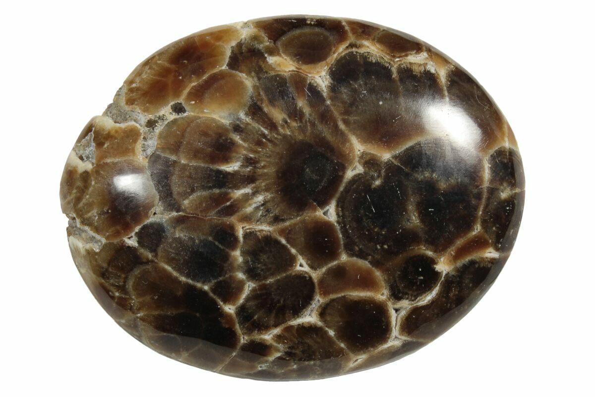 2.7" Polished Chocolate Calcite Palm Stone - Pakistan (#220944) For ...