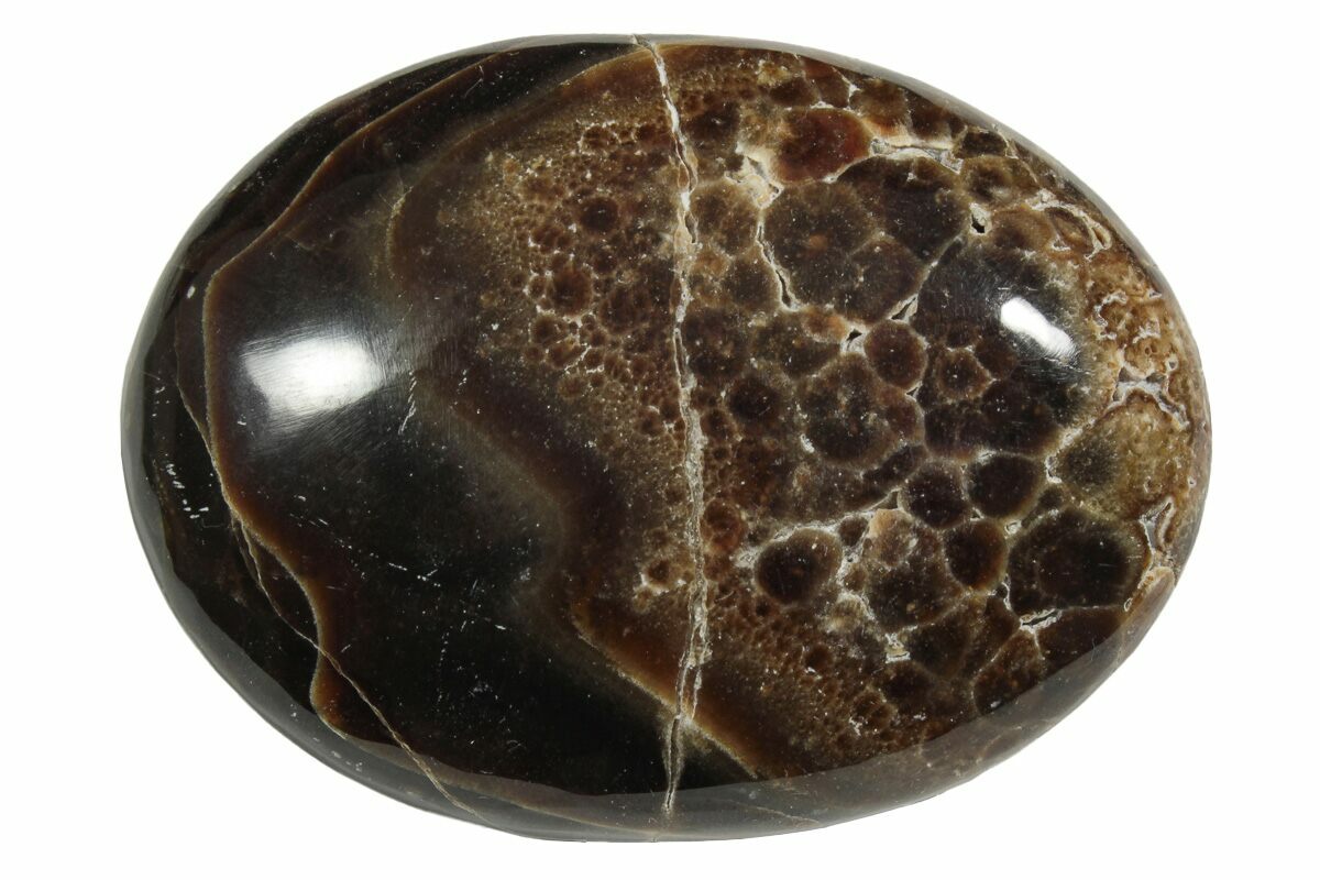 2.8" Polished Chocolate Calcite Palm Stone - Pakistan (#220947) For ...