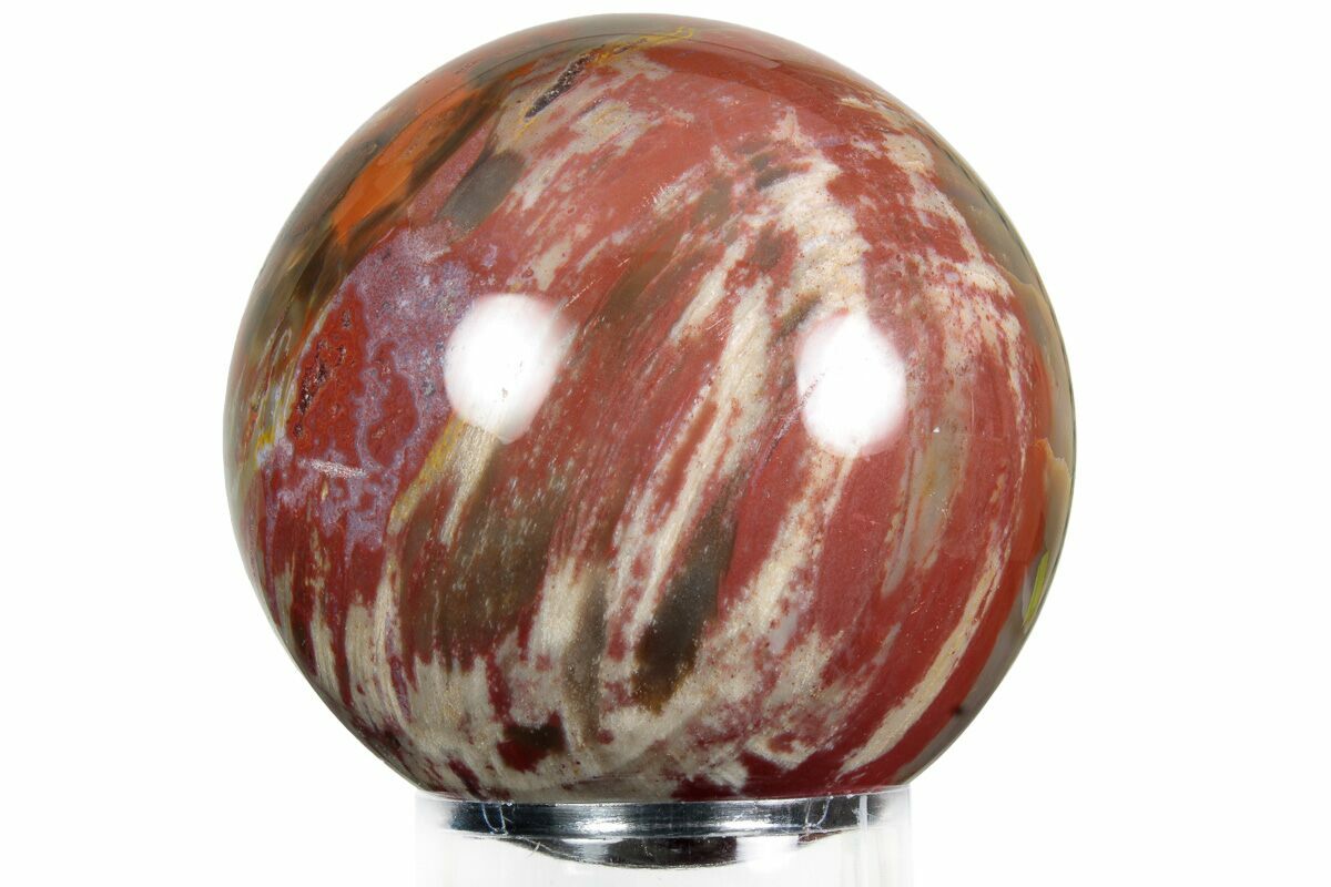 3" Colorful Petrified Wood (Araucaria) Sphere - Madagascar (#229822 ...