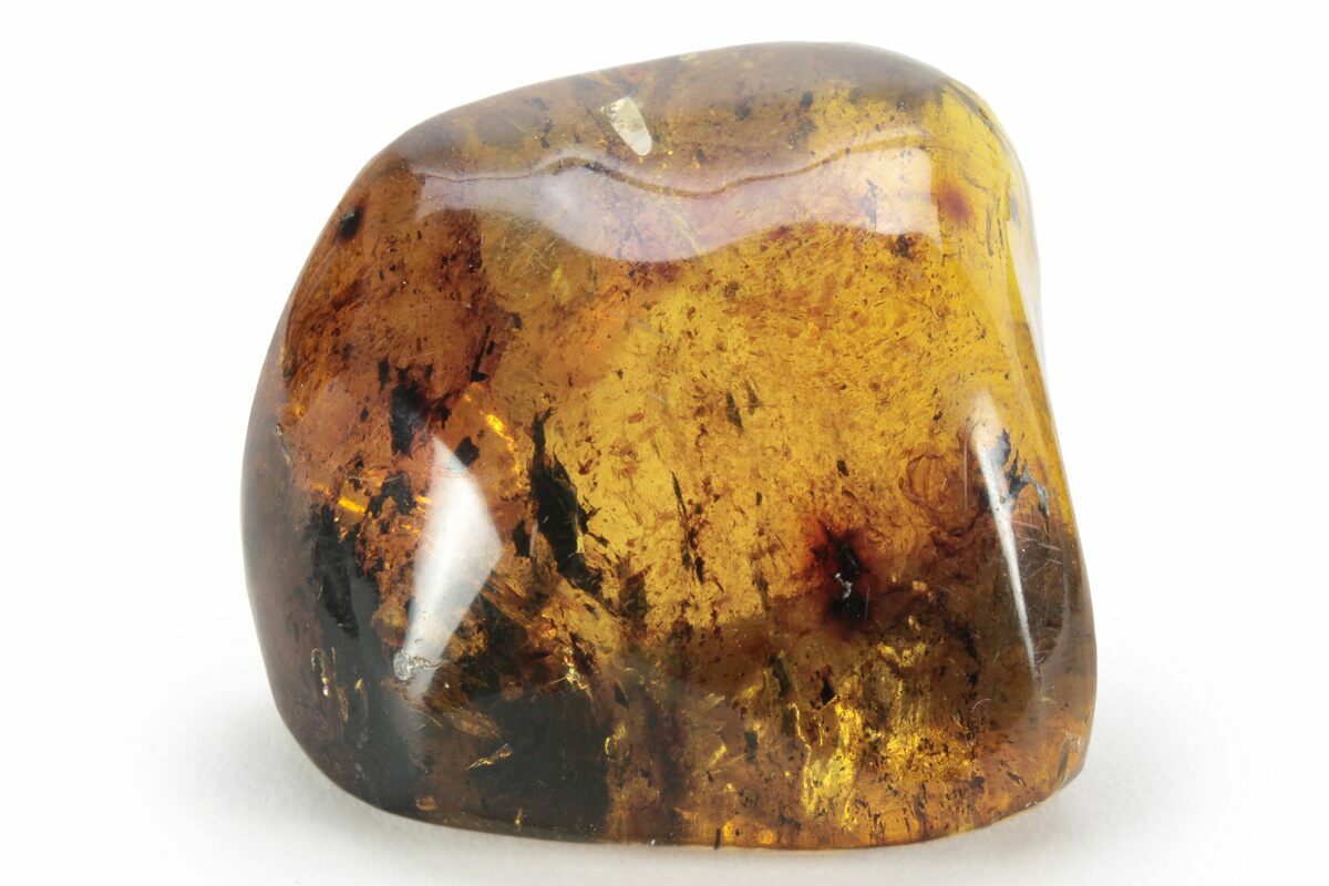1.4" Polished Chiapas Amber (11.3 g) - Mexico (#232564) For Sale ...