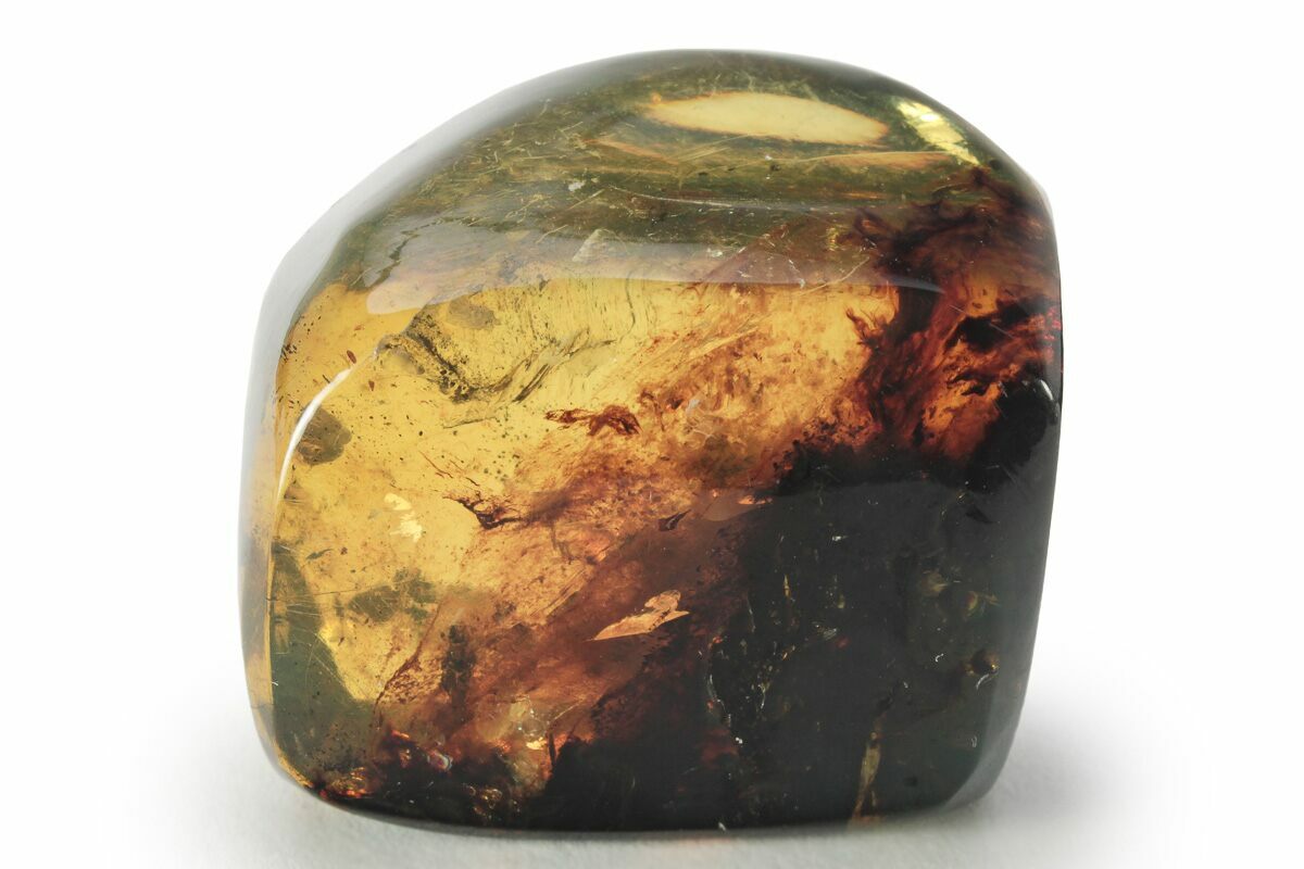 1.25" Polished Chiapas Amber (14.9 g) - Mexico (#232575) For Sale ...