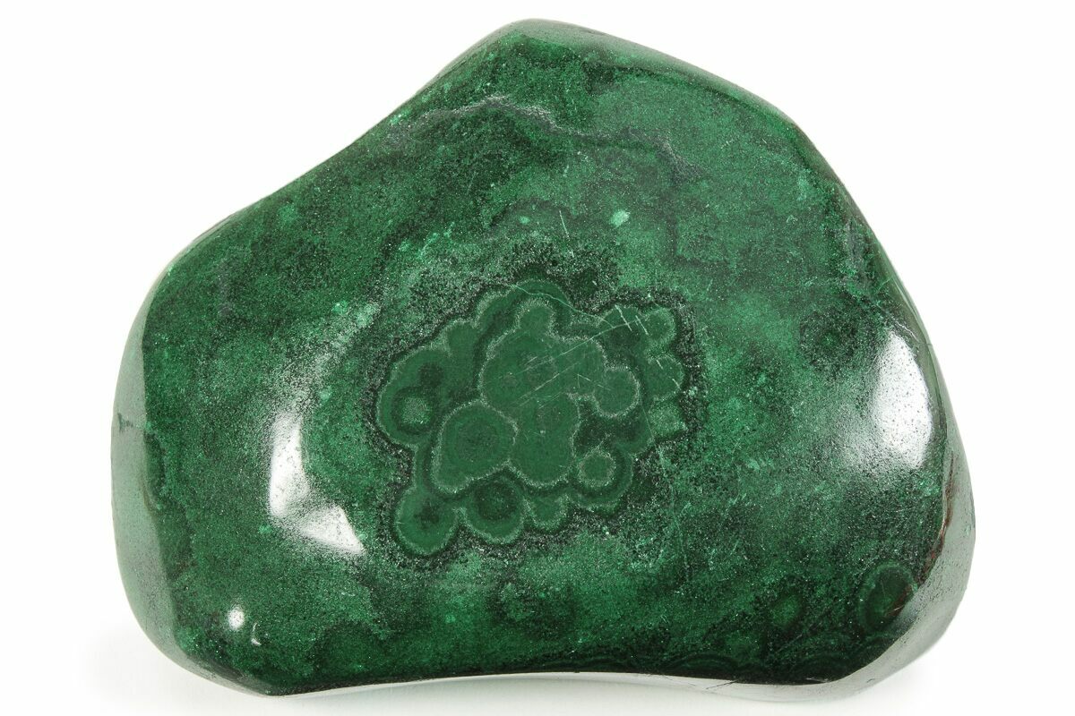 3.05" Flowery, Polished Malachite Specimen - Congo (#233294) For Sale ...