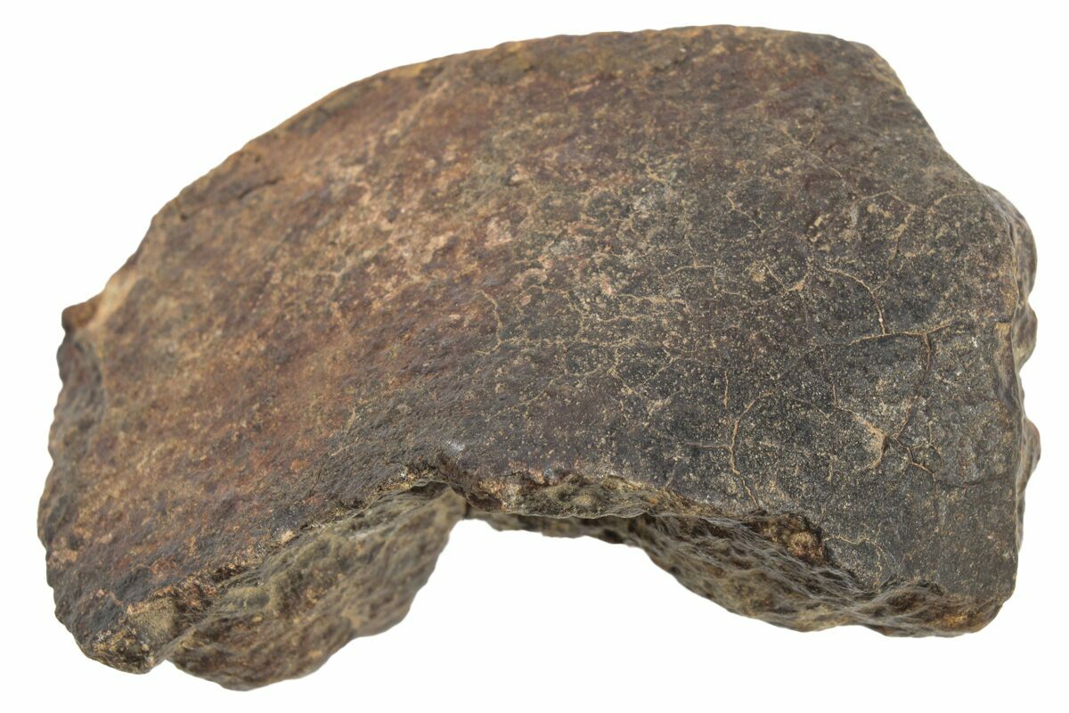 2.25" Chondrite Meteorite (101 g) - Western Sahara Desert (#233197) For ...