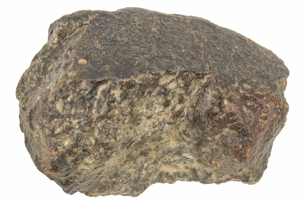 2.25" Chondrite Meteorite (101 g) - Western Sahara Desert (#233197) For ...