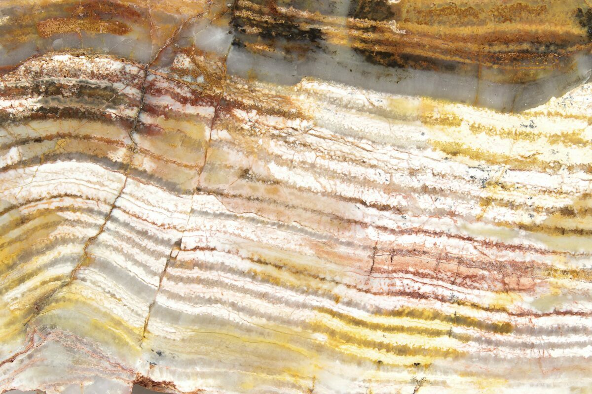 5.6" Polished Strelley Pool Stromatolite Slab - 3.43 Billion Years Old ...