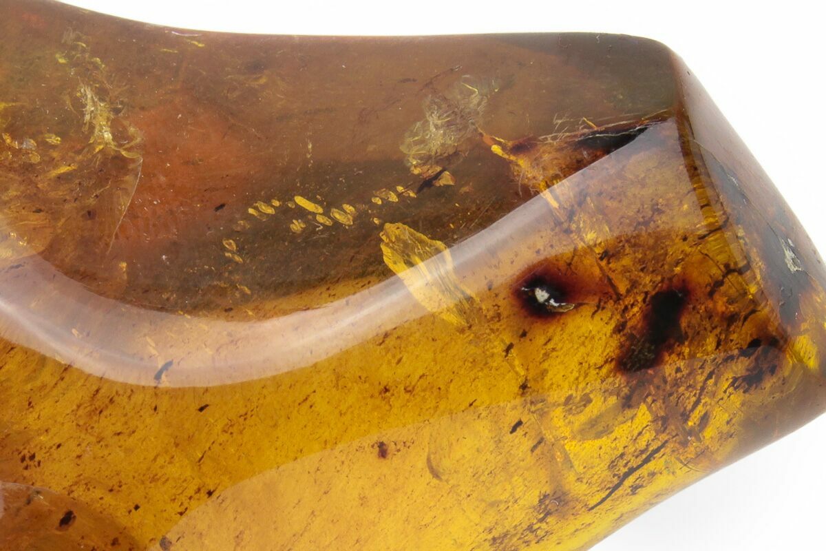 2.6" Polished Chiapas Amber (30.6 g) - Mexico (#237423) For Sale ...