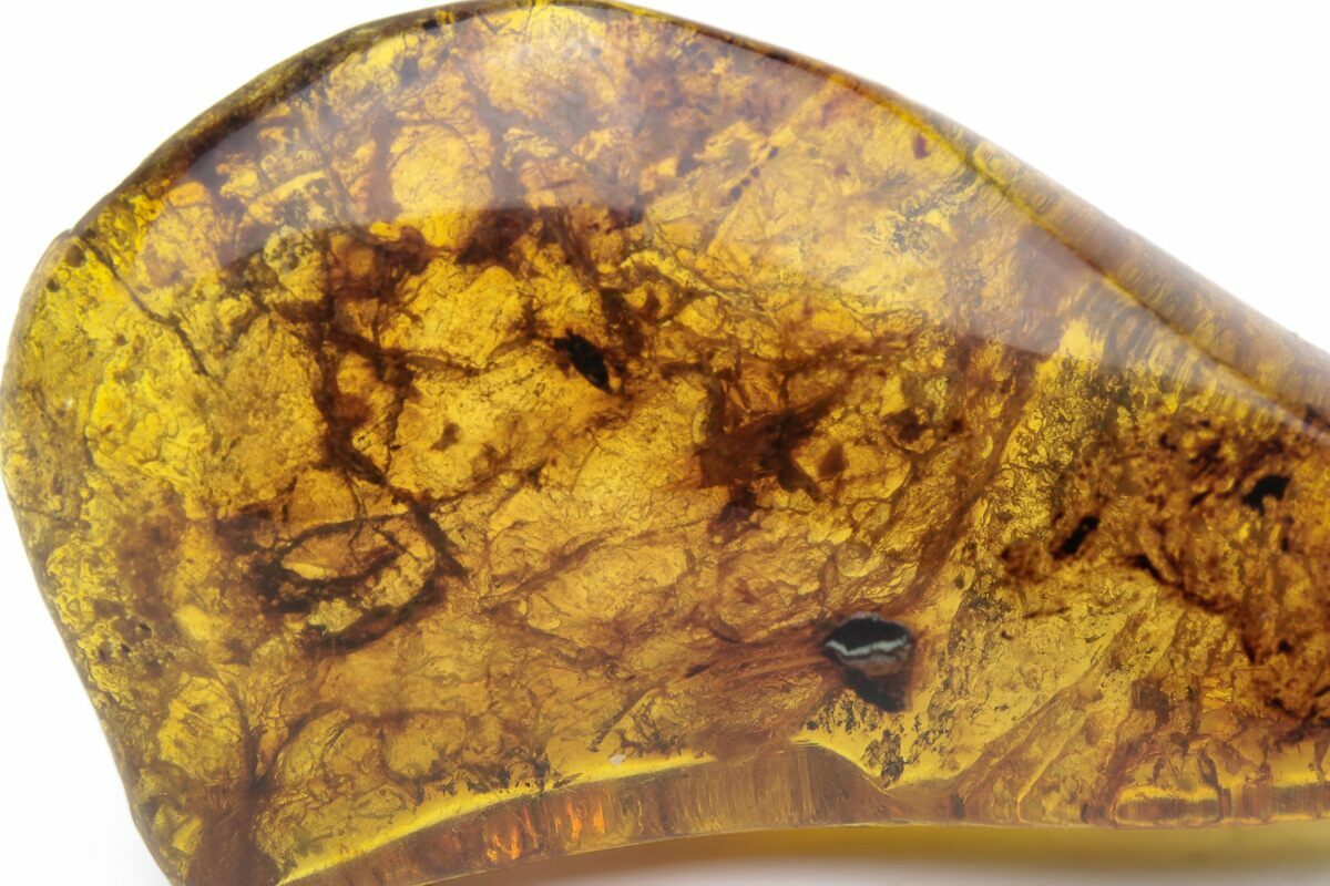 3" Polished Chiapas Amber (11.5 g) - Mexico (#237369) For Sale ...