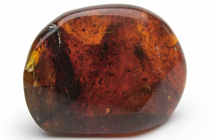 1.55" Polished Chiapas Amber (10.5 g) - Mexico (#237370) For Sale ...