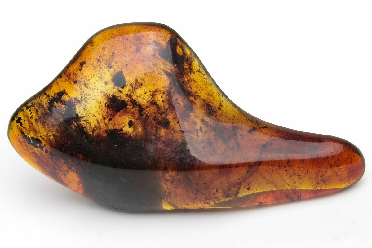 2" Polished Chiapas Amber (4.5 g) - Mexico (#237377) For Sale ...