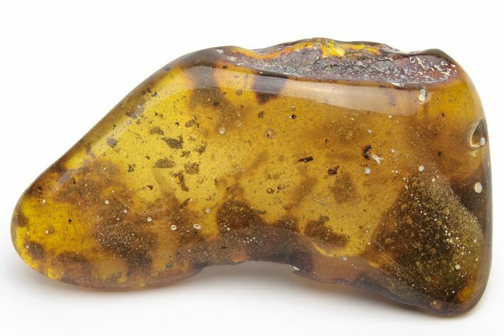 2" Polished Chiapas Amber (9.2 g) - Mexico (#237404) For Sale ...