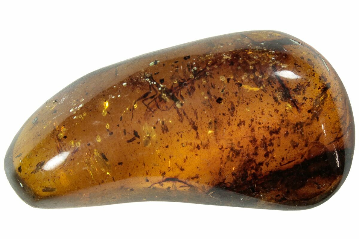 1.5" Polished Chiapas Amber (4.6 g) - Mexico (#237457) For Sale ...