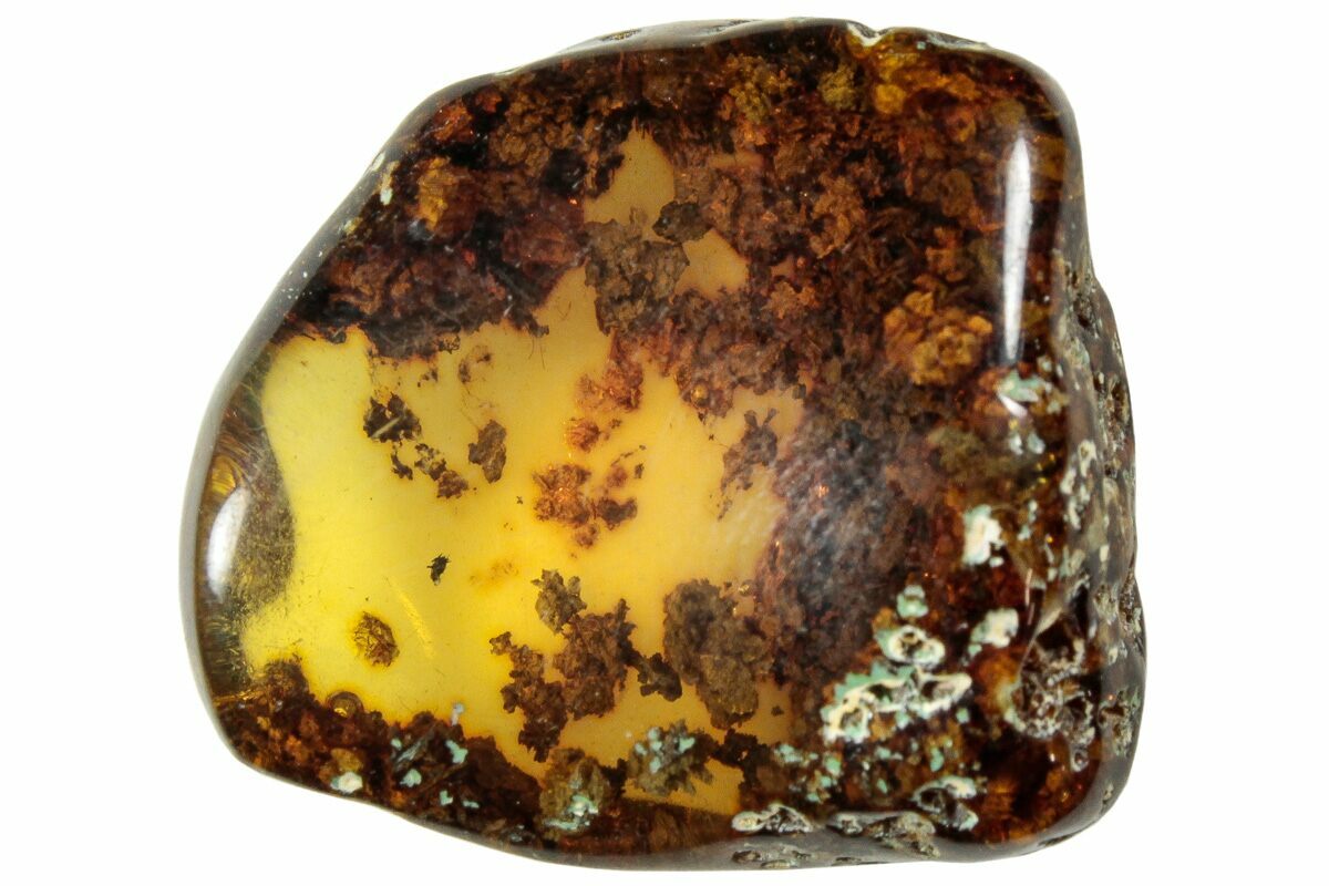 1" Polished Chiapas Amber (4.1 g) - Mexico (#237460) For Sale ...