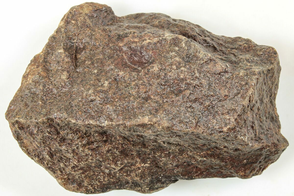 2.65" Chondrite Meteorite (103 g) - Western Sahara Desert (#233215) For ...