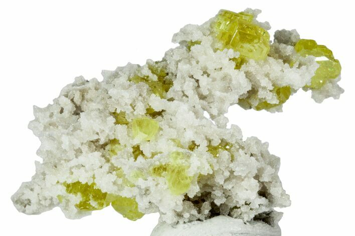 1.6" Striking Sulfur Crystals on Fluorescent Aragonite - Italy (#238425 ...