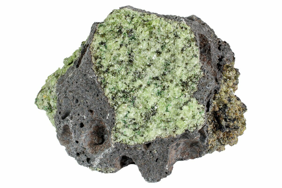 4.4" Peridot in Basalt - Arizona (#239472) For Sale - FossilEra.com
