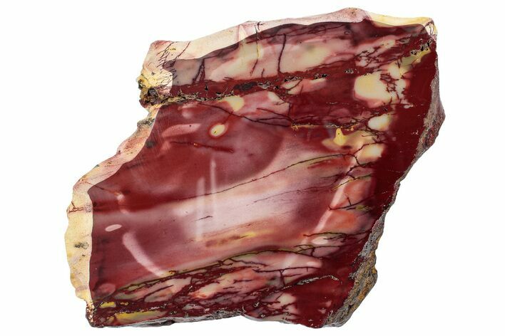4.4" Colorful, Polished Mookaite Jasper Slab - Australia (#239654) For ...