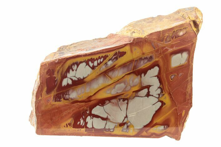 4.2" Polished Noreena Jasper Section - Australia (#239580) For Sale ...