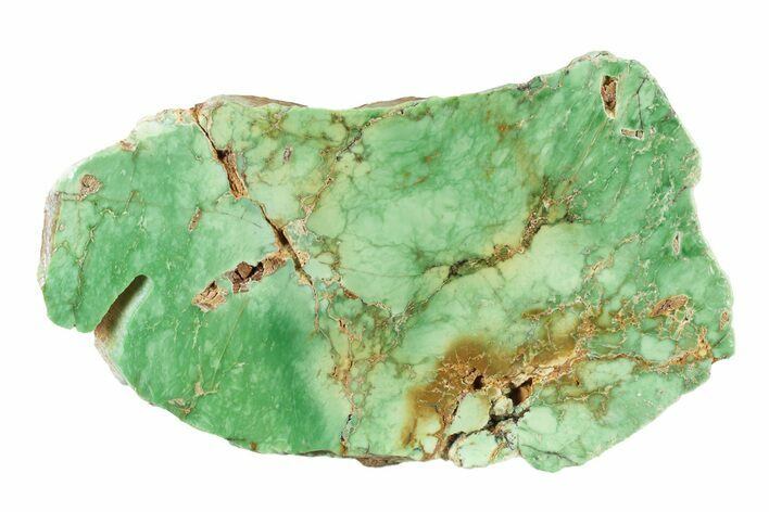5" Polished Aluminum Phosphate (Variscite) Slab - Australia (#239905 ...