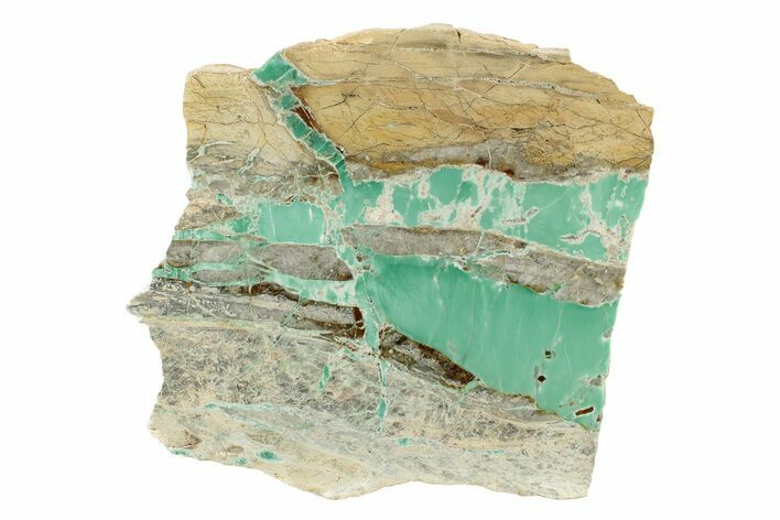 5.7" Polished Aluminum Phosphate (Variscite) Slab - Australia (#239915 ...
