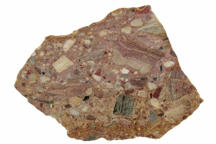6.8" Polished Chert Breccia Slab - Western Australia (#240109) For Sale ...