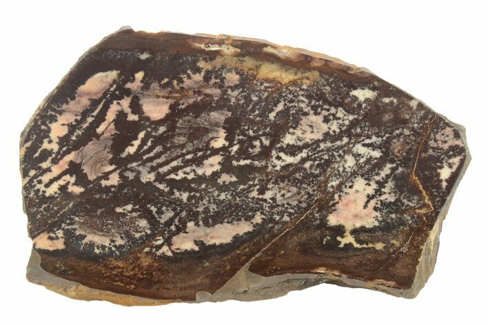 5" Polished Outback Jasper - Western Australia (#240028) For Sale ...