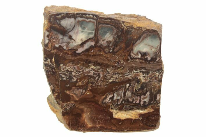 3" Polished Outback Jasper - Western Australia (#240031) For Sale ...