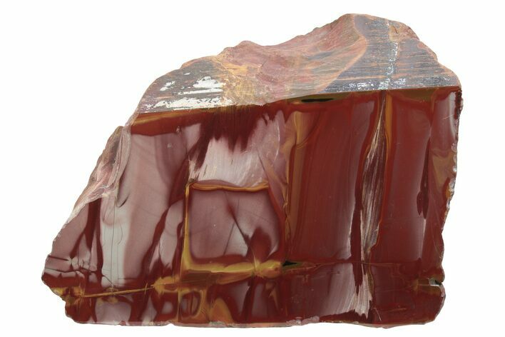 8.2" Polished Noreena Jasper Section - Australia (#240121) For Sale ...