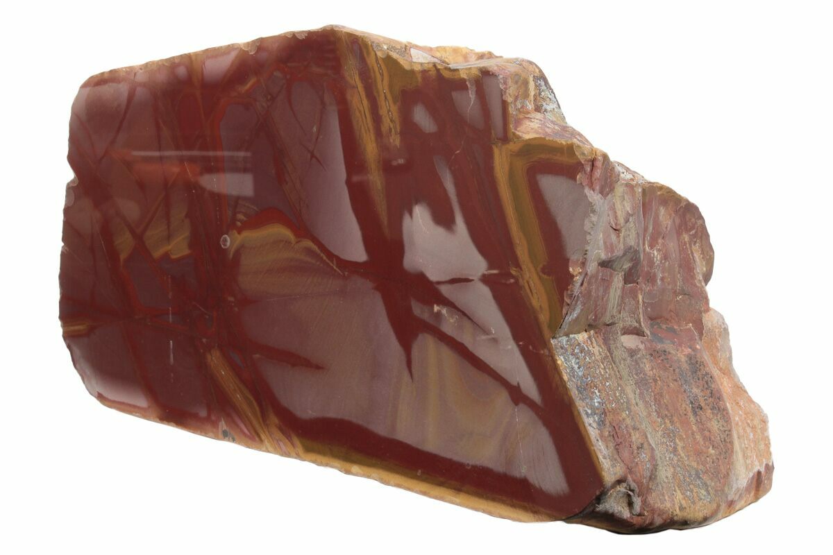 7.2" Polished Noreena Jasper Section - Australia (#240122) For Sale ...