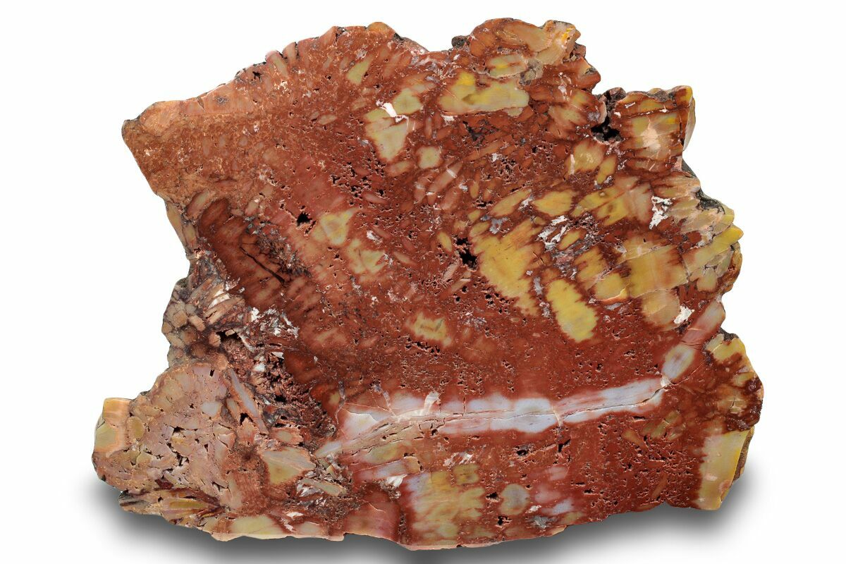 5.4" Polished Fuchsite Chert (Dragon Stone) Slab - Australia (#240079 ...