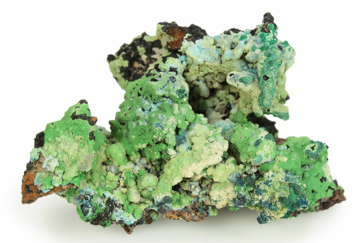 2.6" Vibrant Green Conichalcite with Chrysocolla - Namibia (#244384 ...