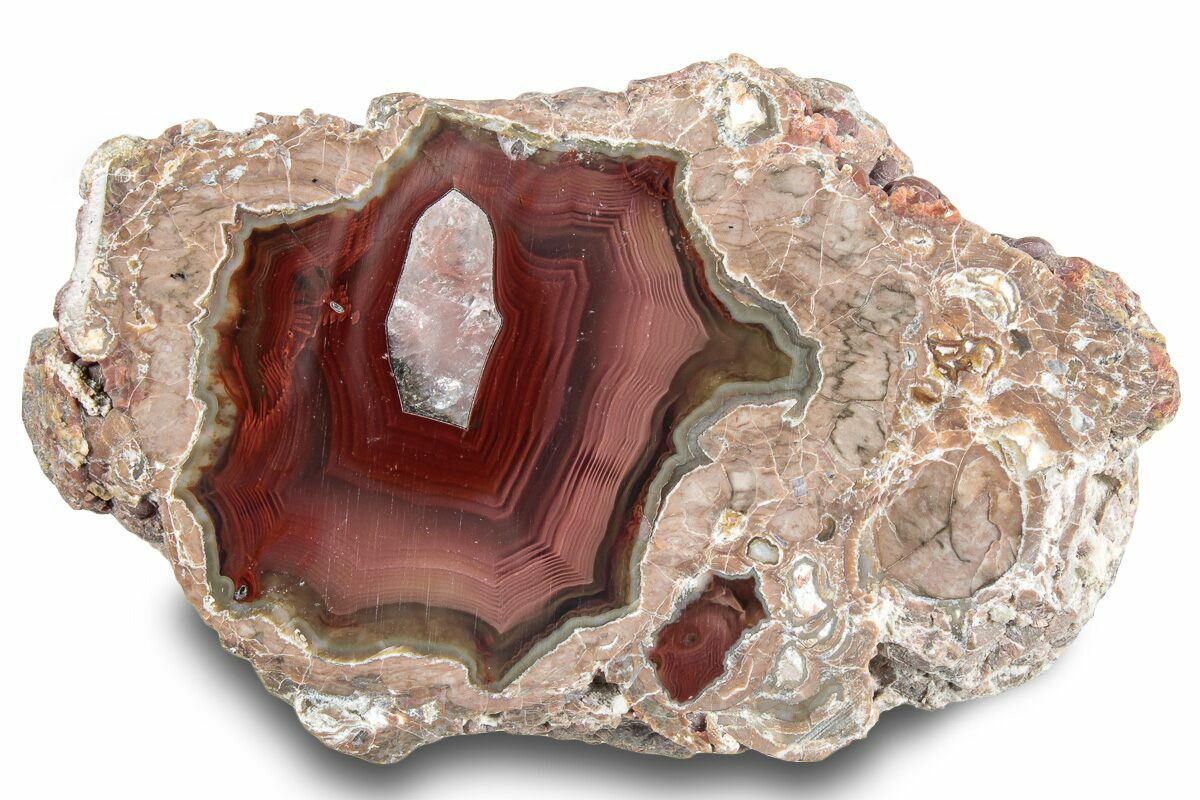 2.85" Polished Baker Ranch Thunderegg (Half) - New Mexico (#245240) For ...