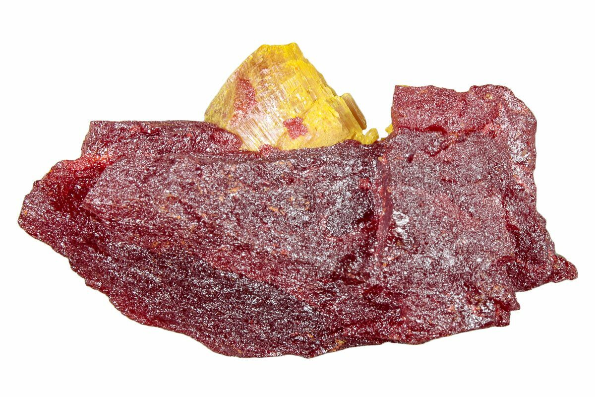 1.65" Vibrant Orpiment and Realgar Association - Russia (#247336) For ...