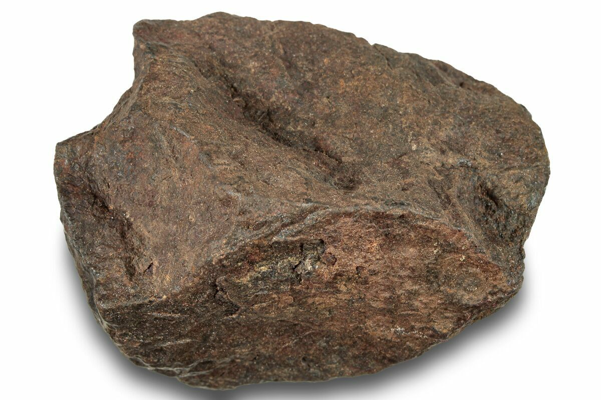 2" Chondrite Meteorite (83 g) - Western Sahara Desert (#247497) For ...