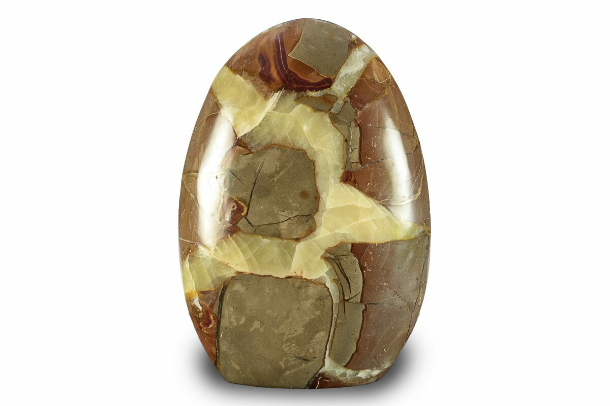 5.1" Free-Standing, Polished Red Septarian - Madagascar (#247546) For ...